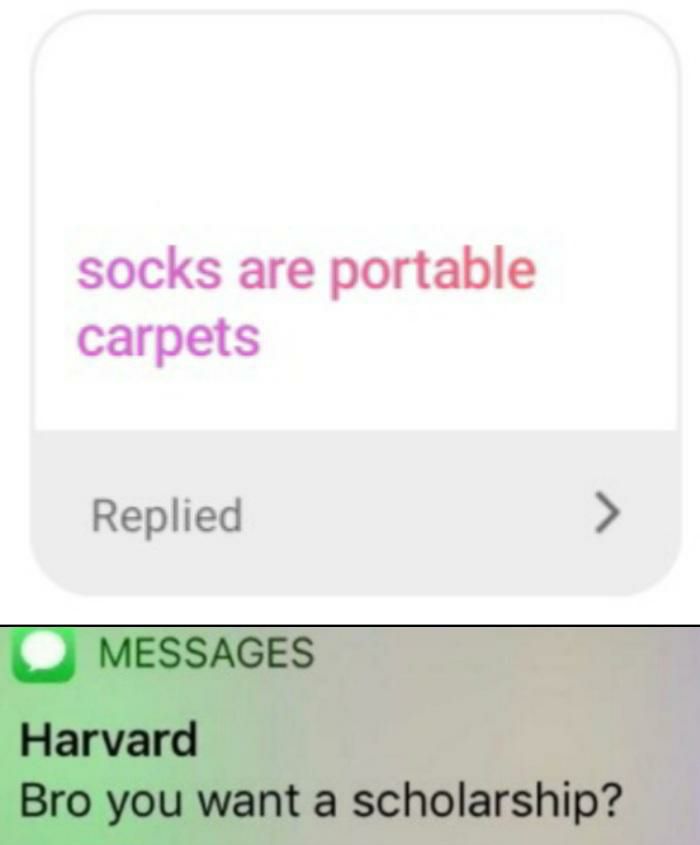 Carpet Everyone 😊 | Scrolller