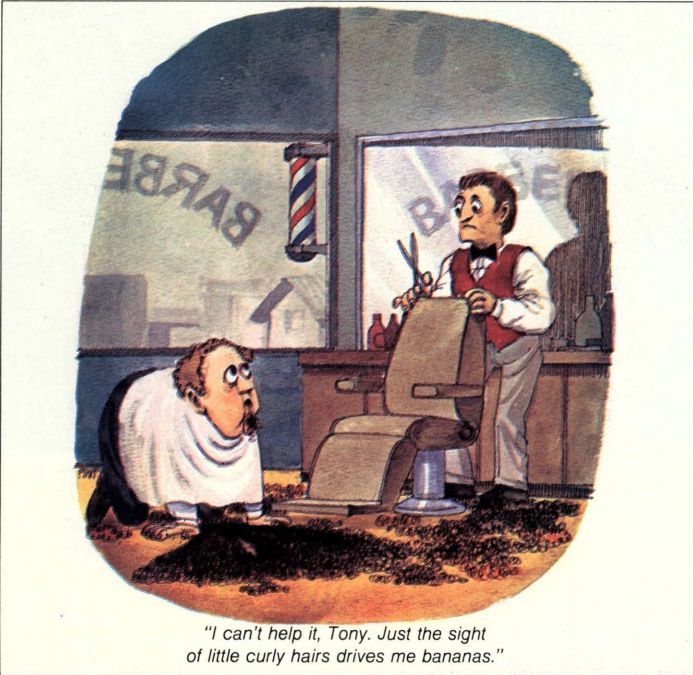 Carpet Munching | Scrolller