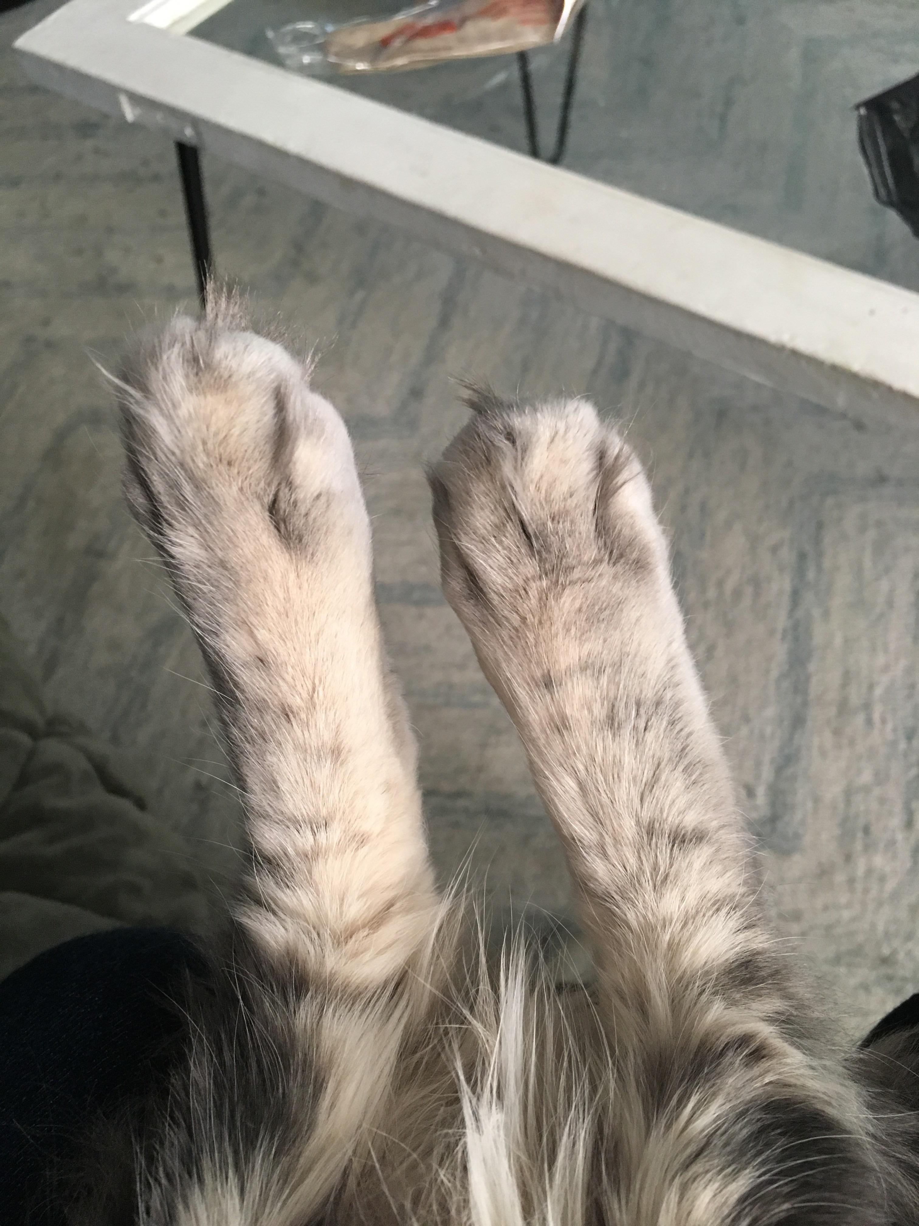 Case feetsies | Scrolller