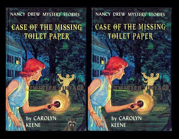 Case of the Missing Toilet Paper.... | Scrolller