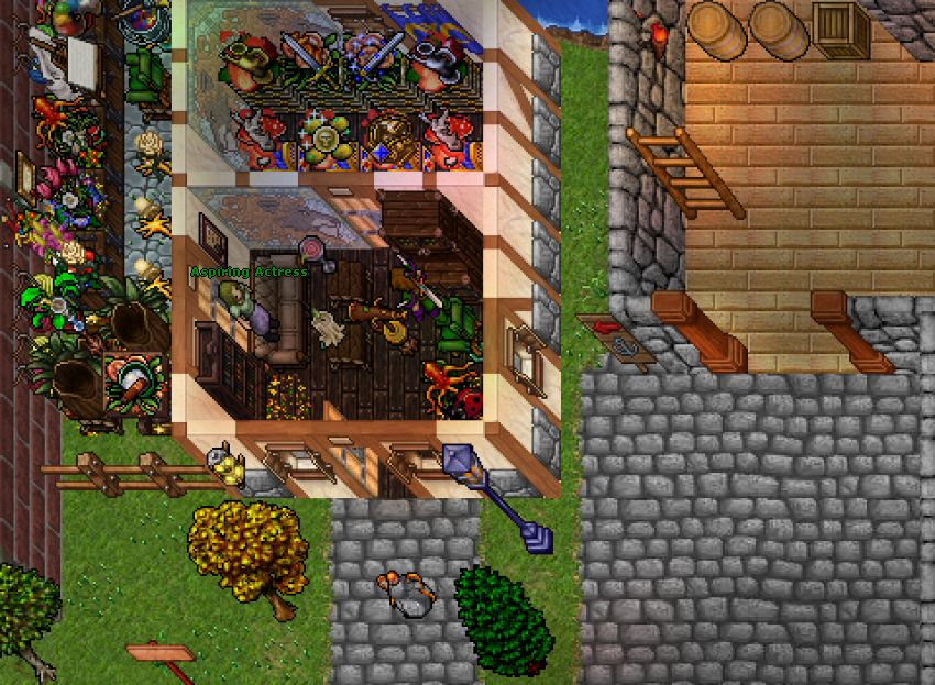 Casting for Tibian Models, levels 18+ only | Scrolller