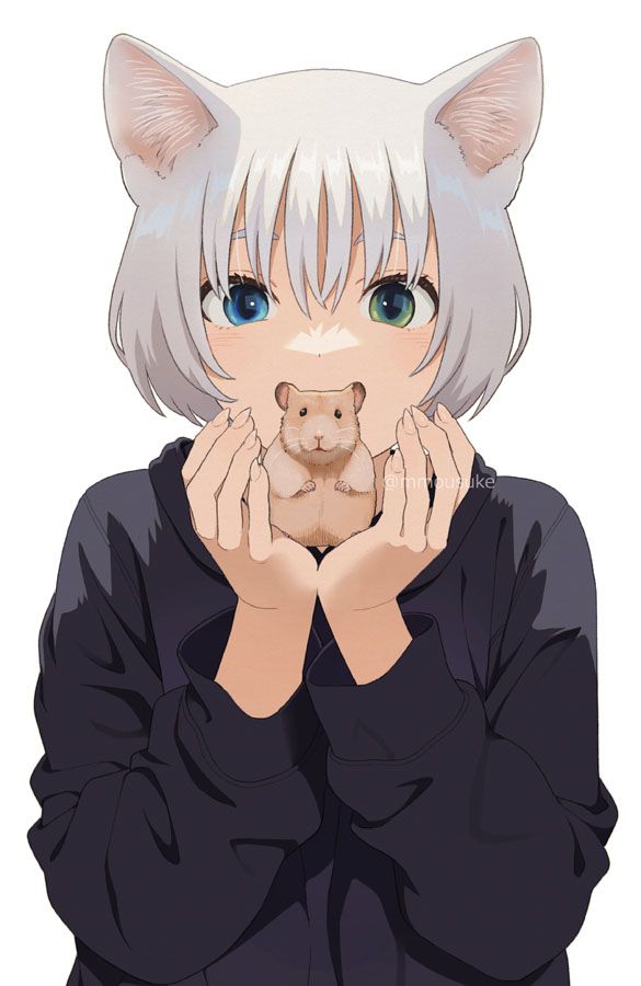 Cat and Mouse [Original] | Scrolller