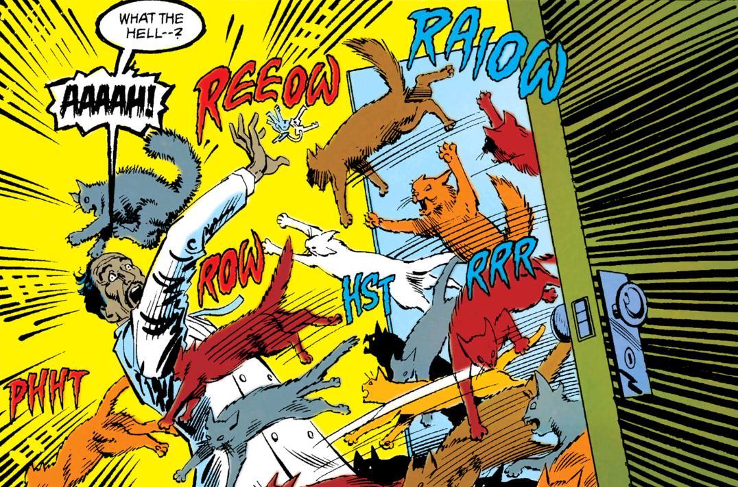 Cat attack | Scrolller