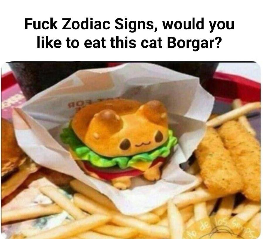 Cat borgar | Scrolller