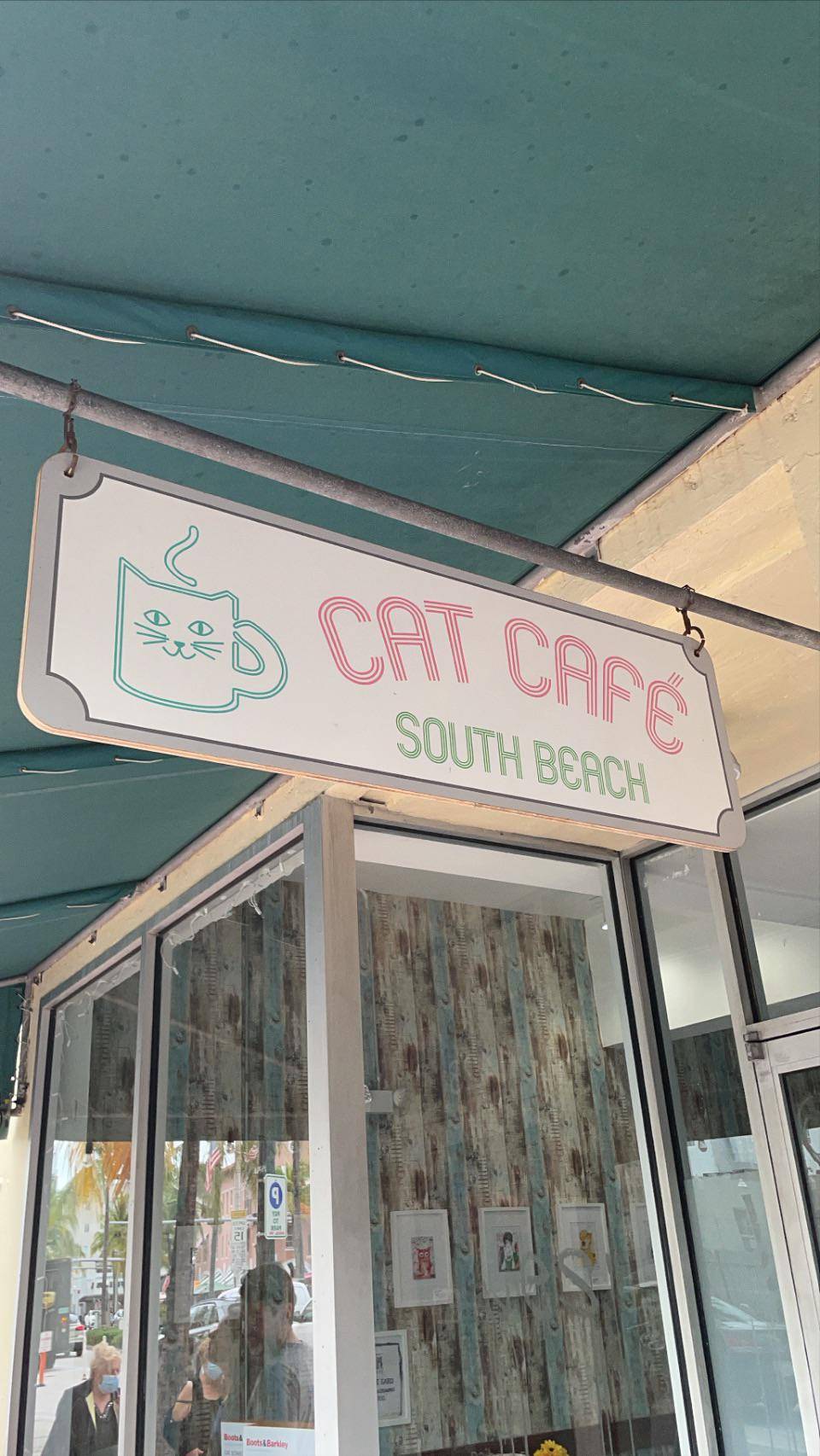 Cat Café on Washington is back 🥺... I heard it was gone | Scrolller