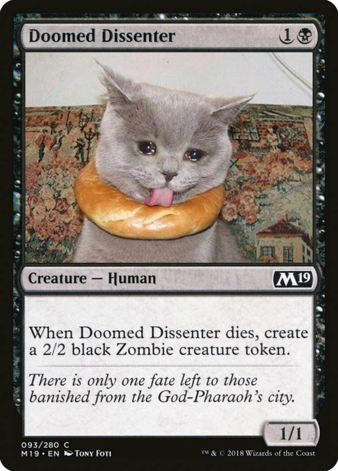 [CAT] Doomed indeed | Scrolller