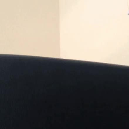 Cat emerges from the cat dimension | Scrolller