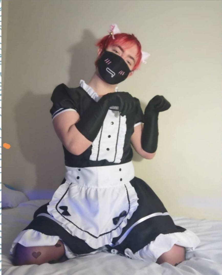 Cat maid | Scrolller