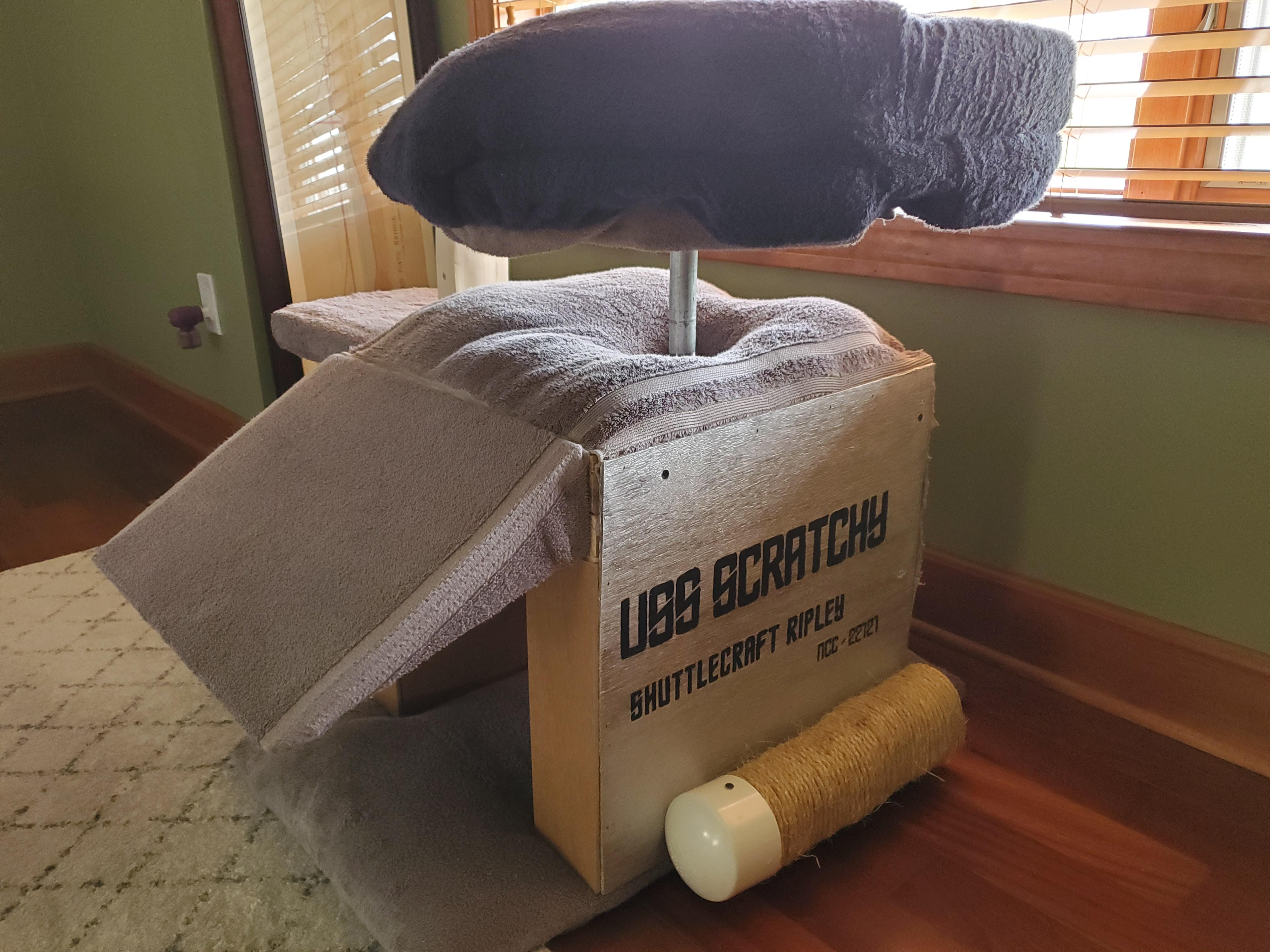 Cat perch | Scrolller