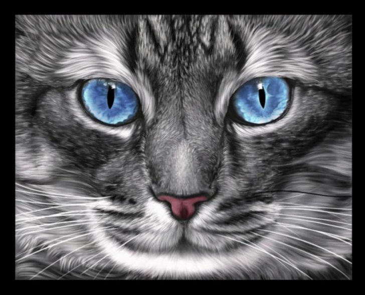 Cat piece in Procreate | Scrolller