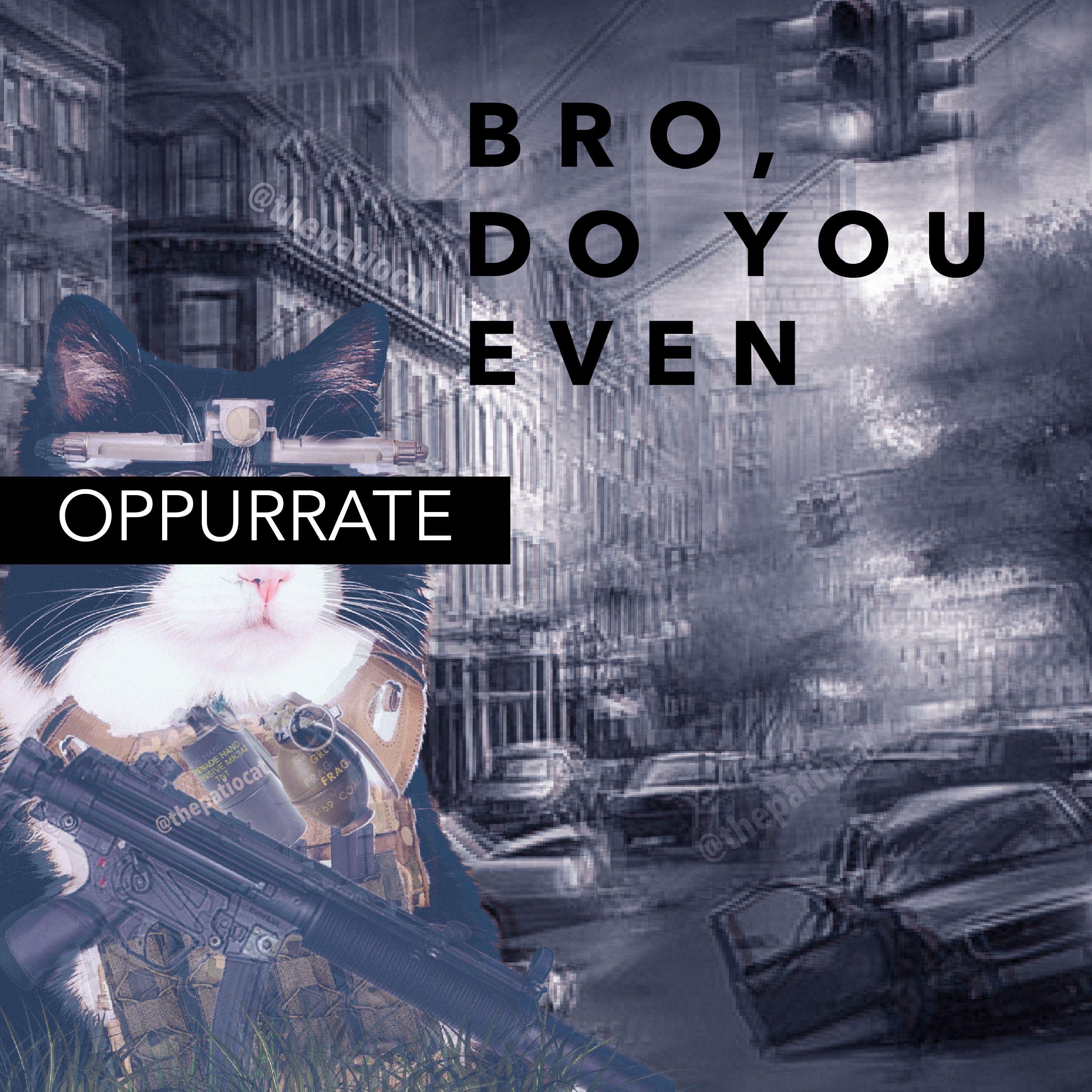 cat puns never get old | Scrolller