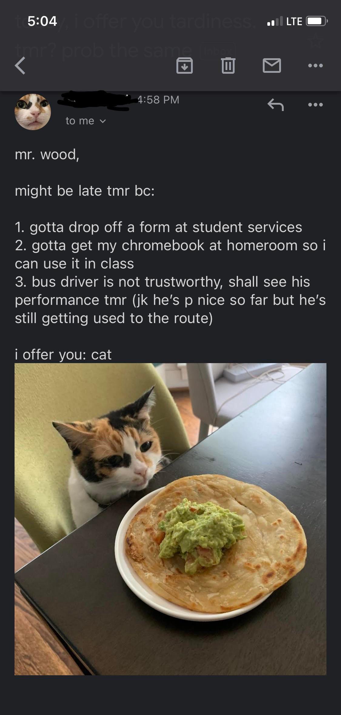 Cat rule | Scrolller