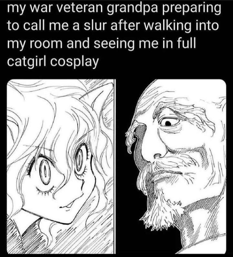 Cat rule | Scrolller