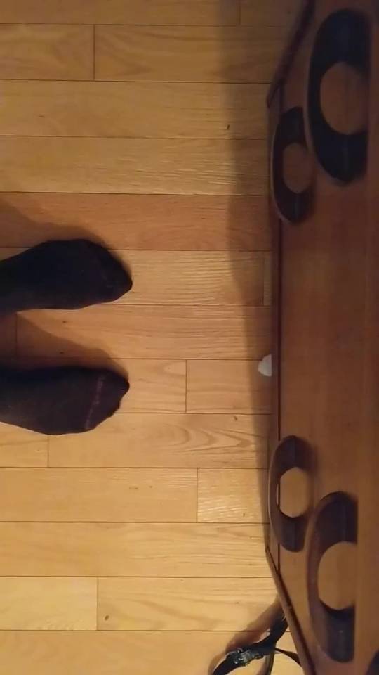 Cat taps from the cat dimension | Scrolller