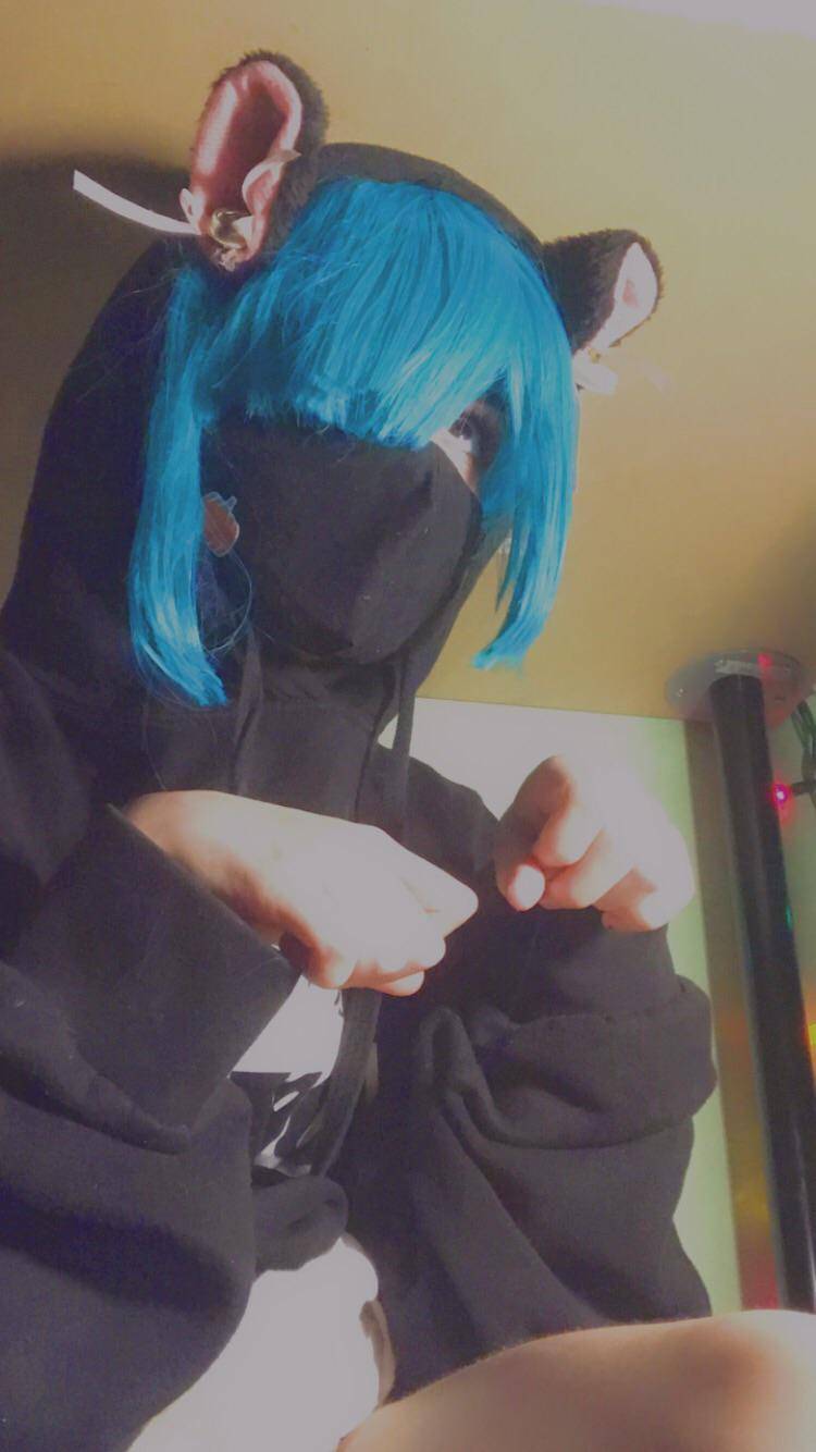 catboy at your service | Scrolller