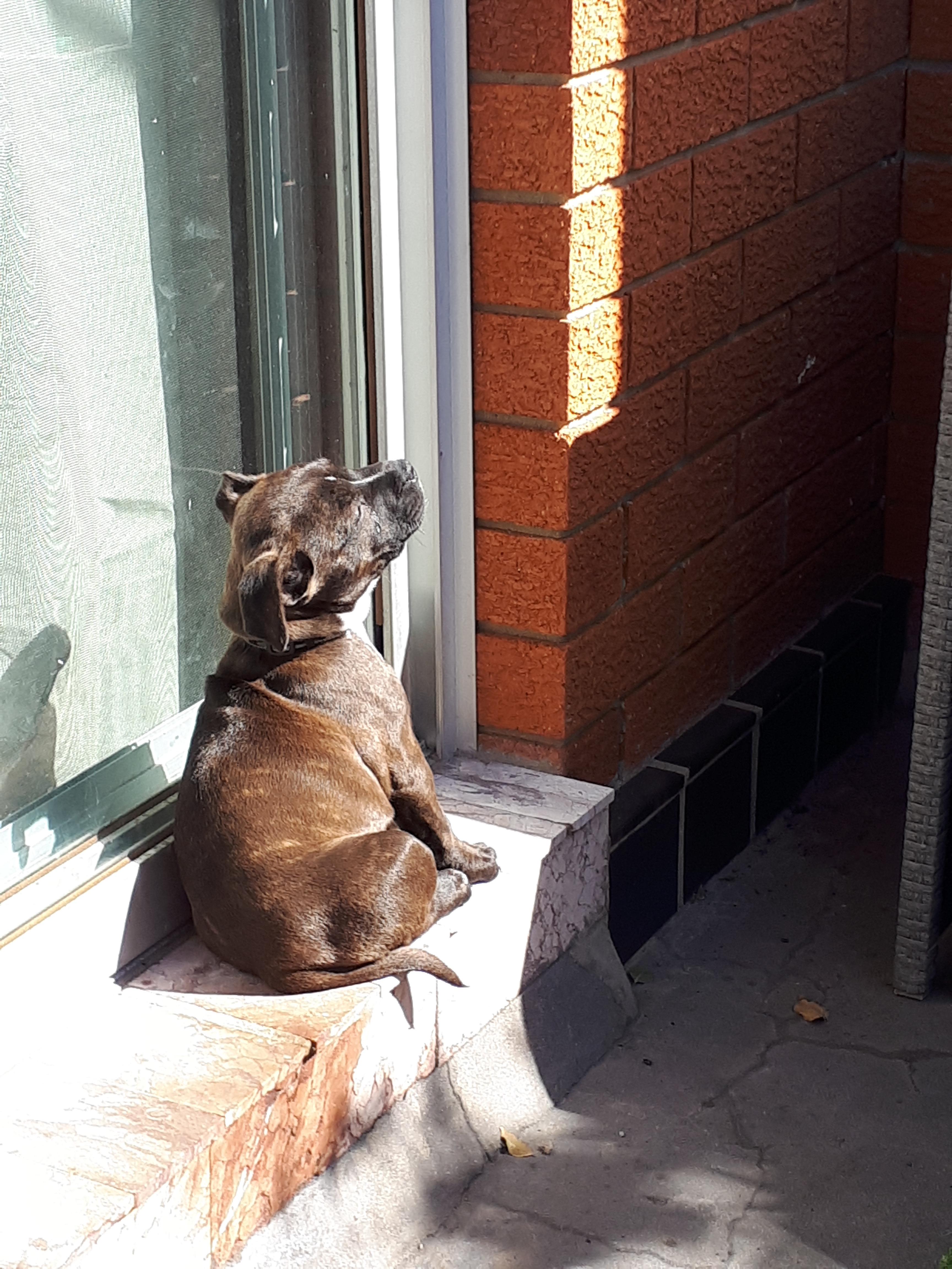 Catching some rays ☀️ | Scrolller