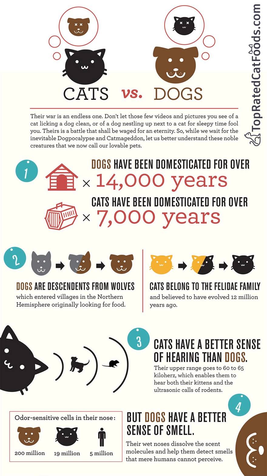 Cats vs dogs (Pt 1) | Scrolller