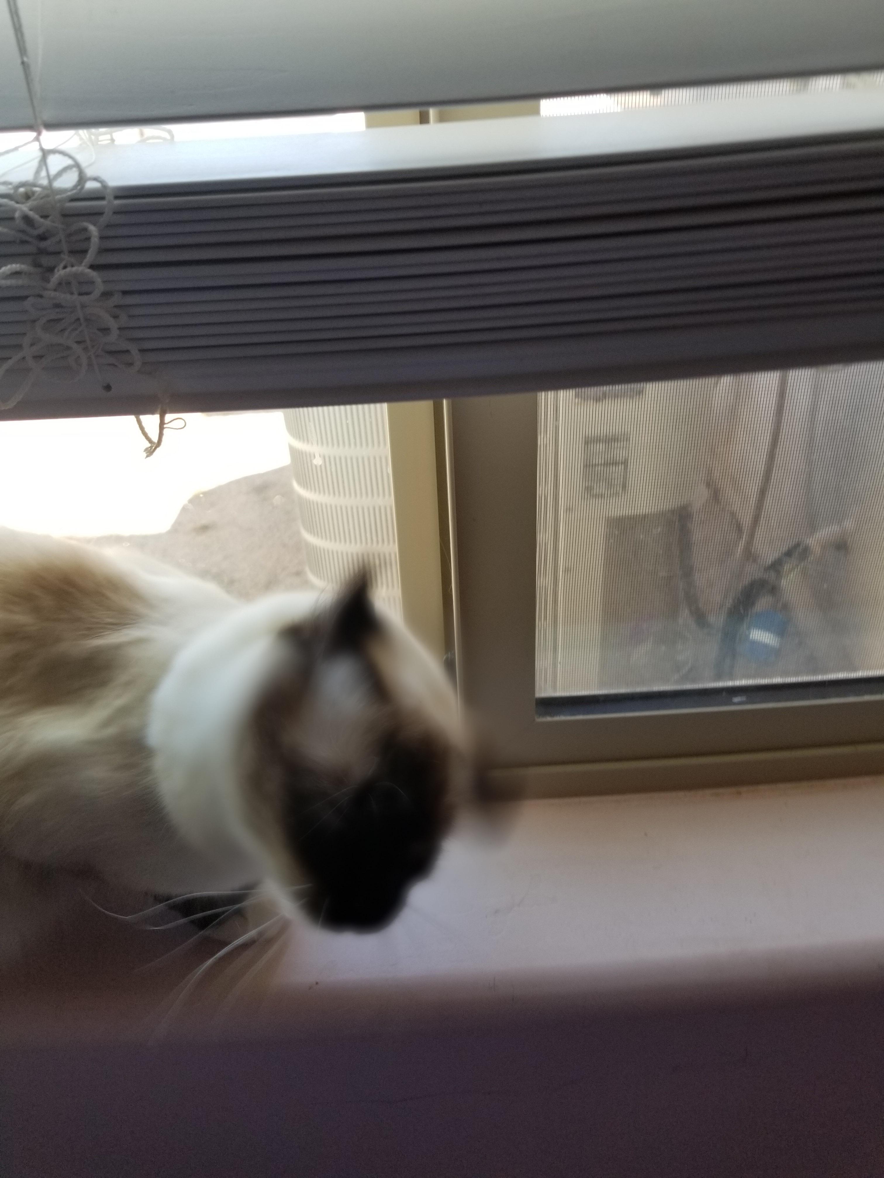 Caught her mid drill. | Scrolller