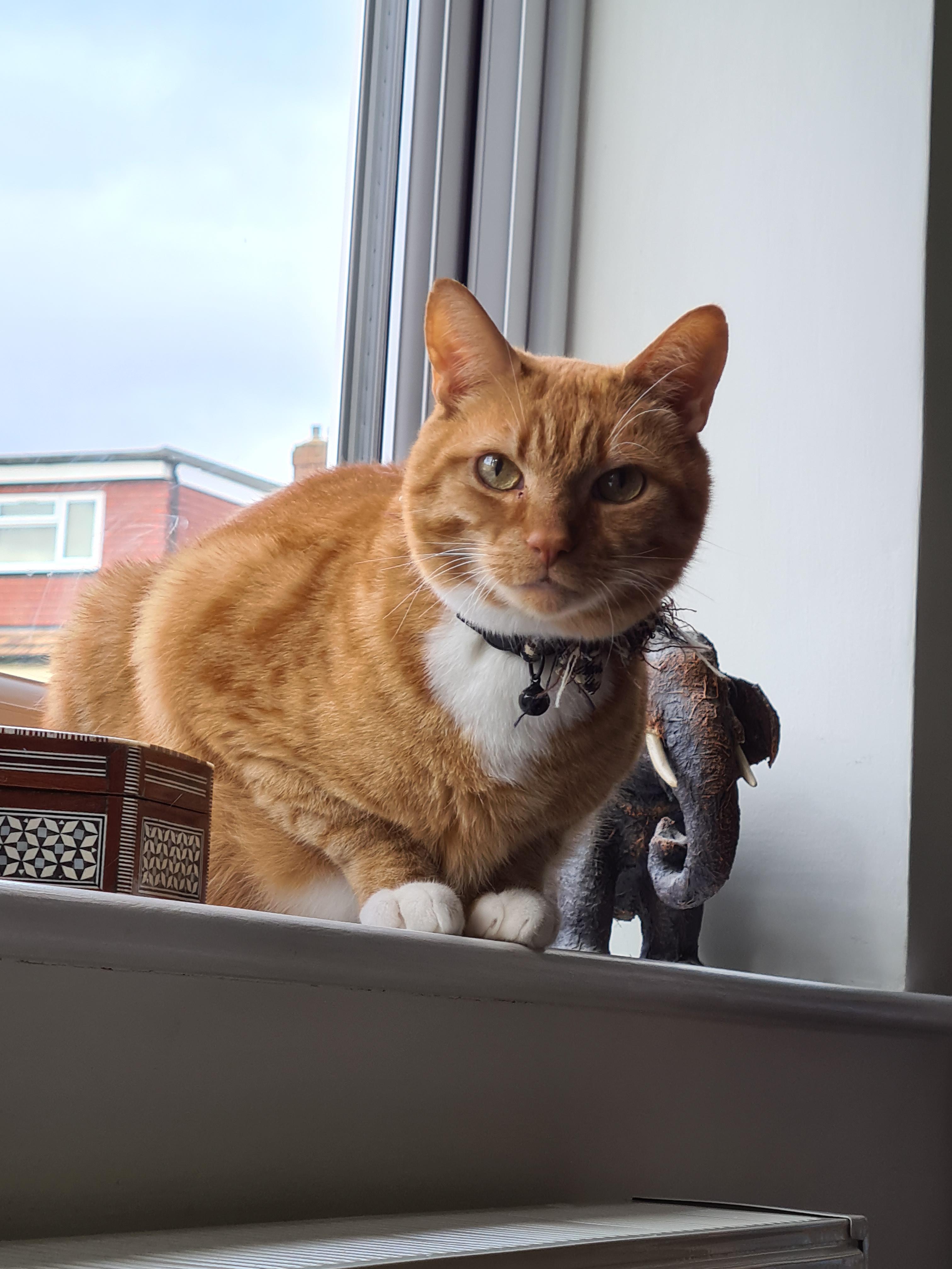 Caught my boy looking hella handsome 😻 | Scrolller