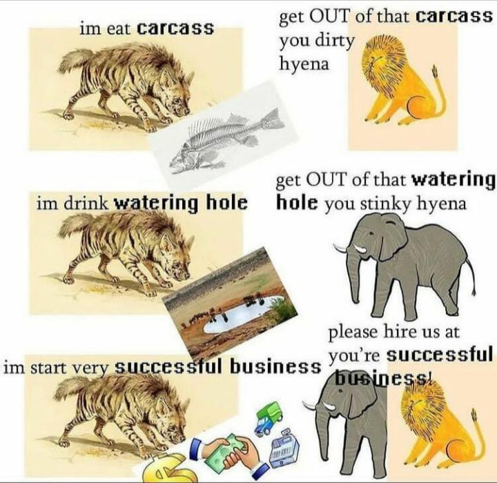 Chad Hyena | Scrolller