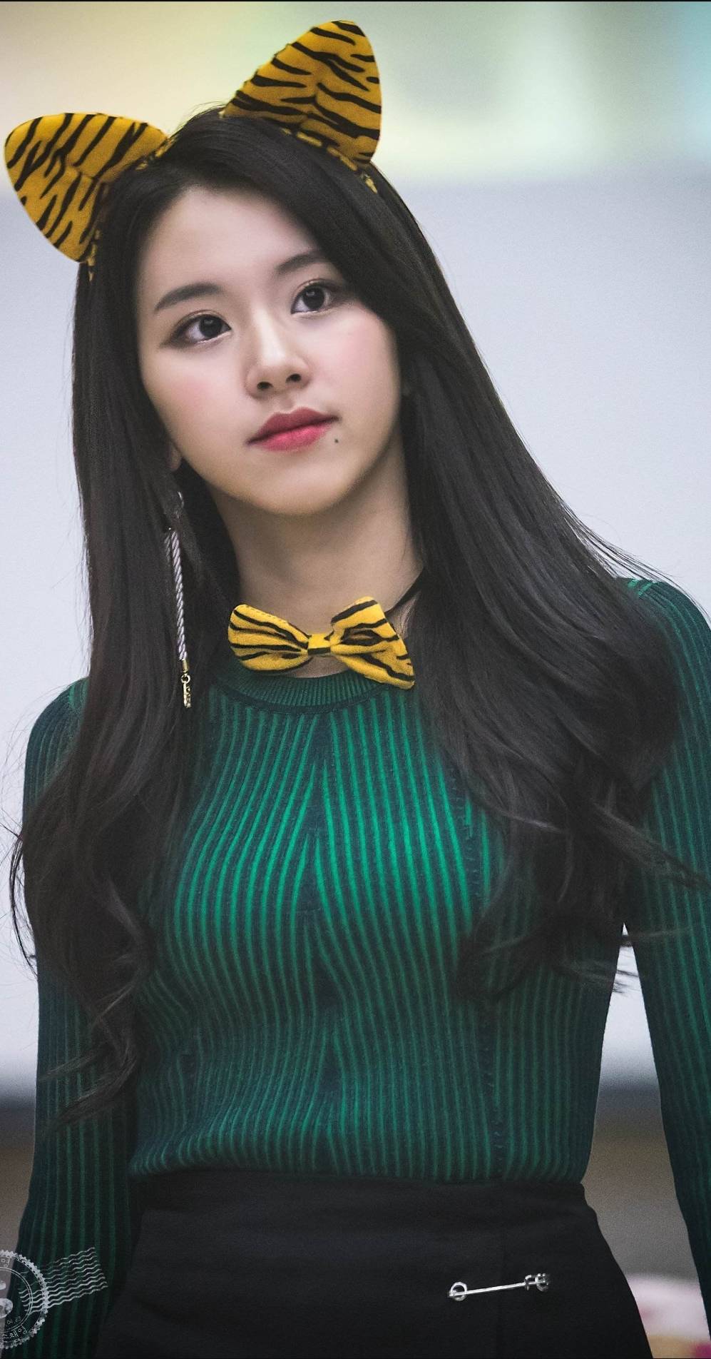 Chaeyoung - tiger ears, Bow tie, green top | Scrolller