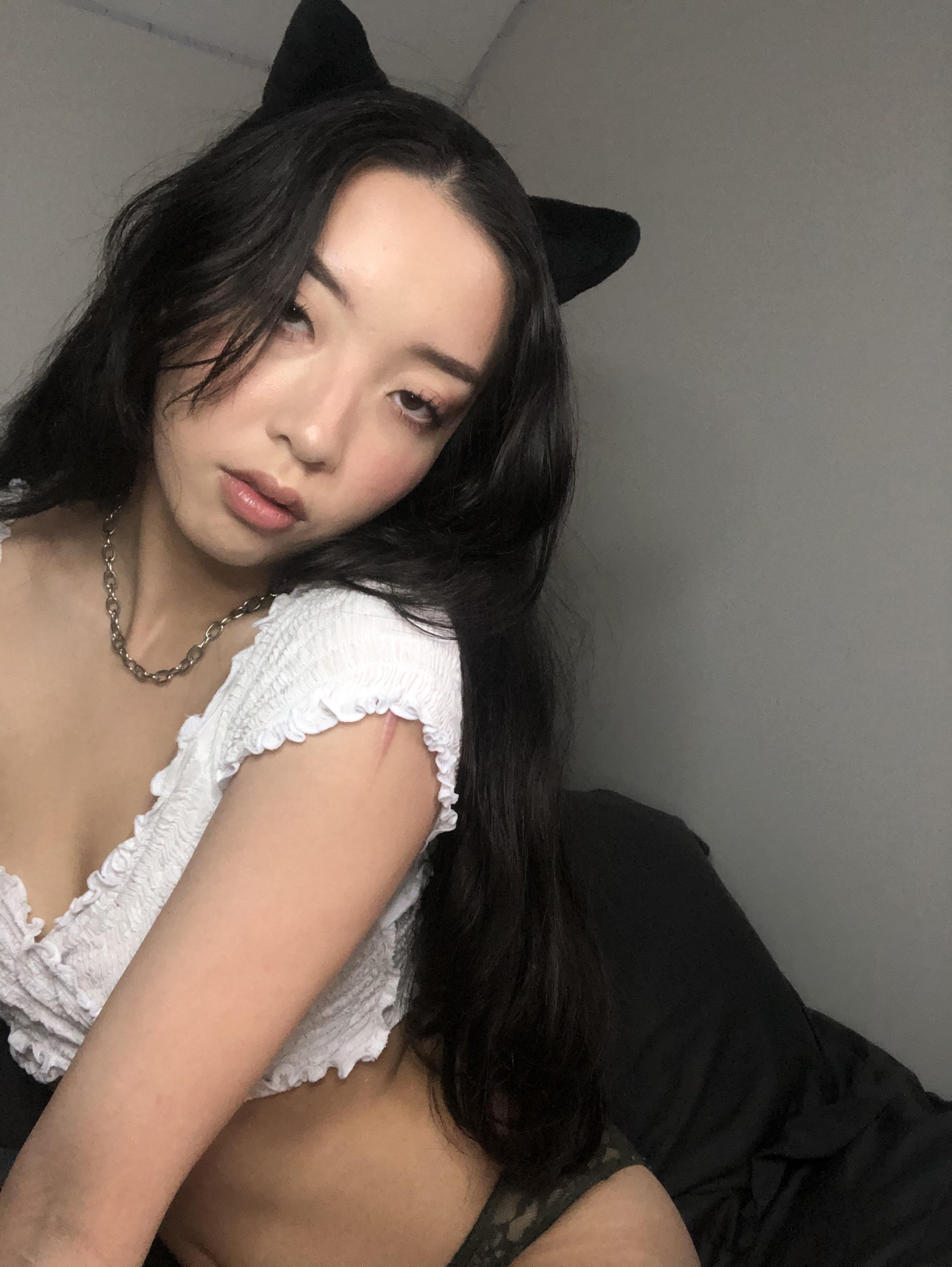 chain collar bc i’m feisty | Scrolller