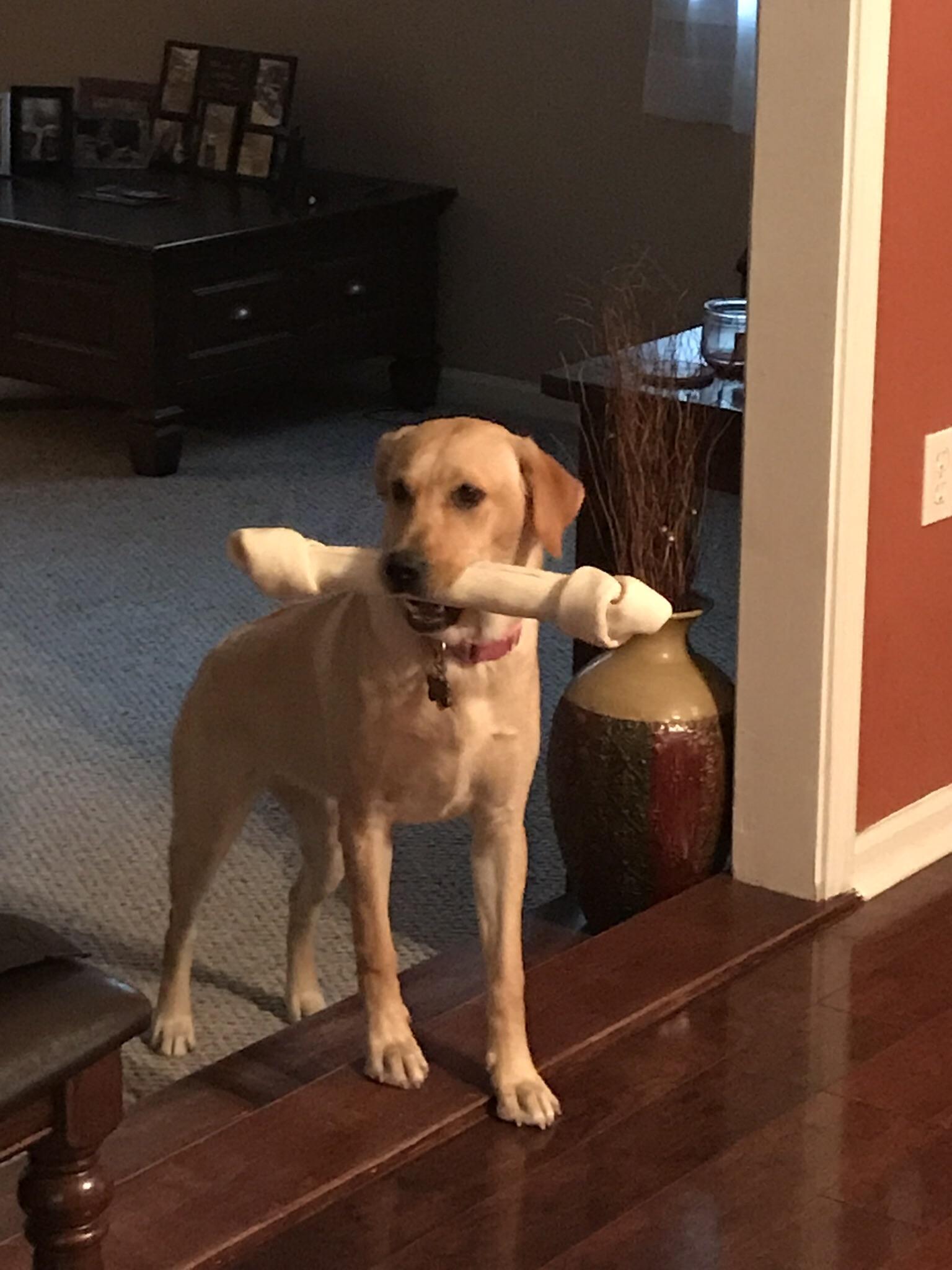 Challenge accepted. | Scrolller