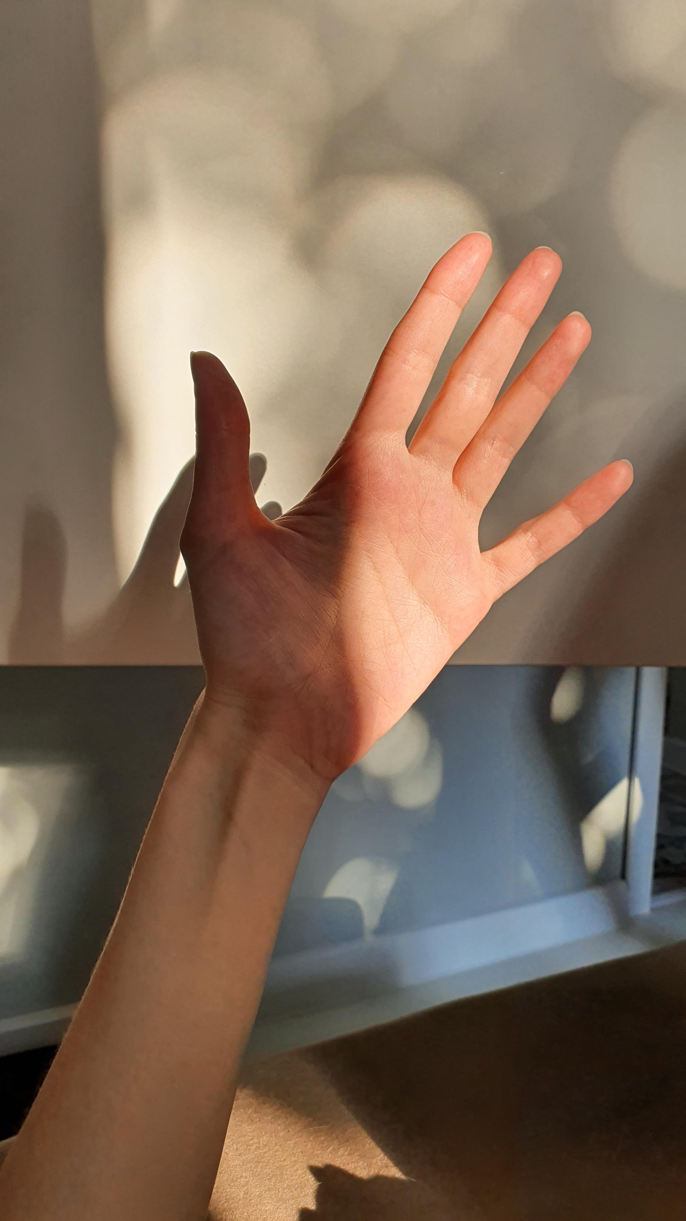 Challenge accepted😋 | Scrolller