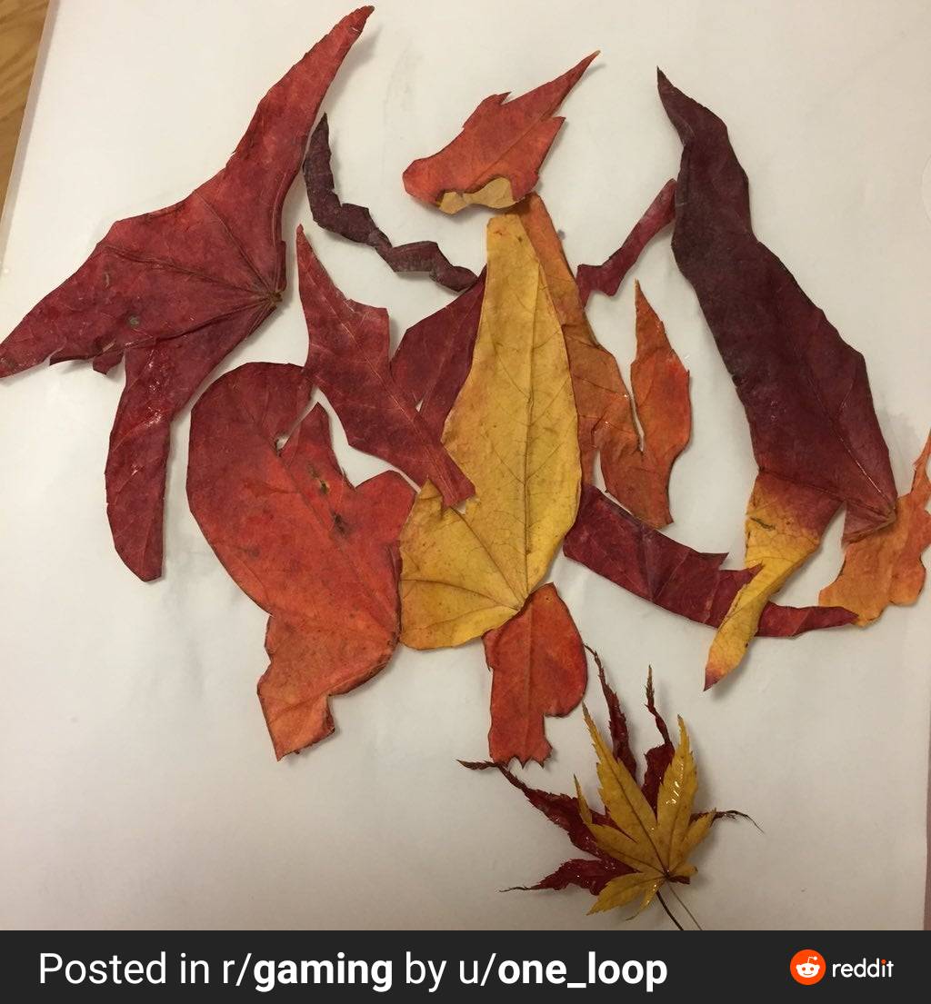 Charizard made completly from autumn leaves | Scrolller
