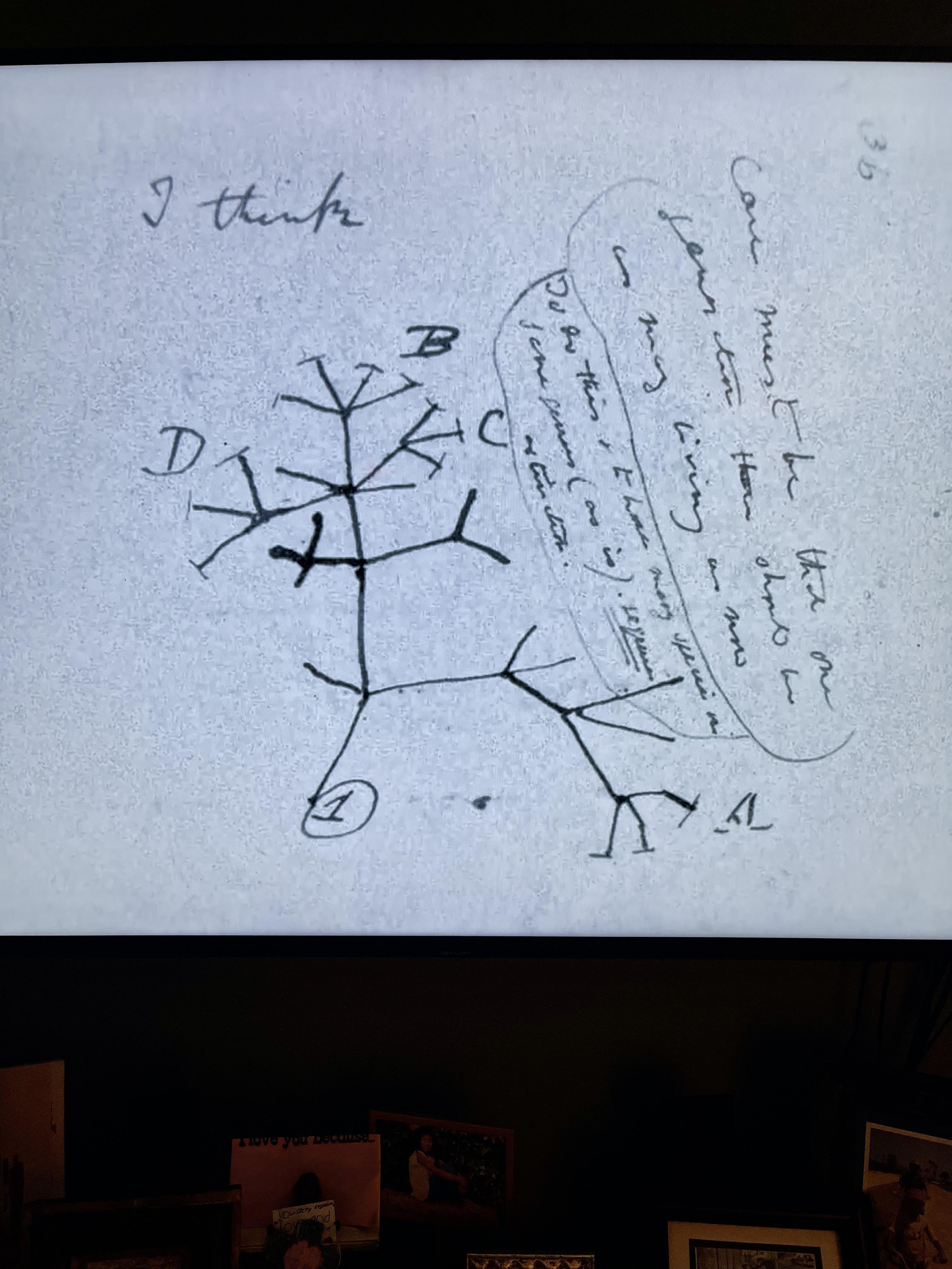 Charles Darwin’s sketch from 1837 titled “Tree of Life”, it’s a precursor to his theory of ...