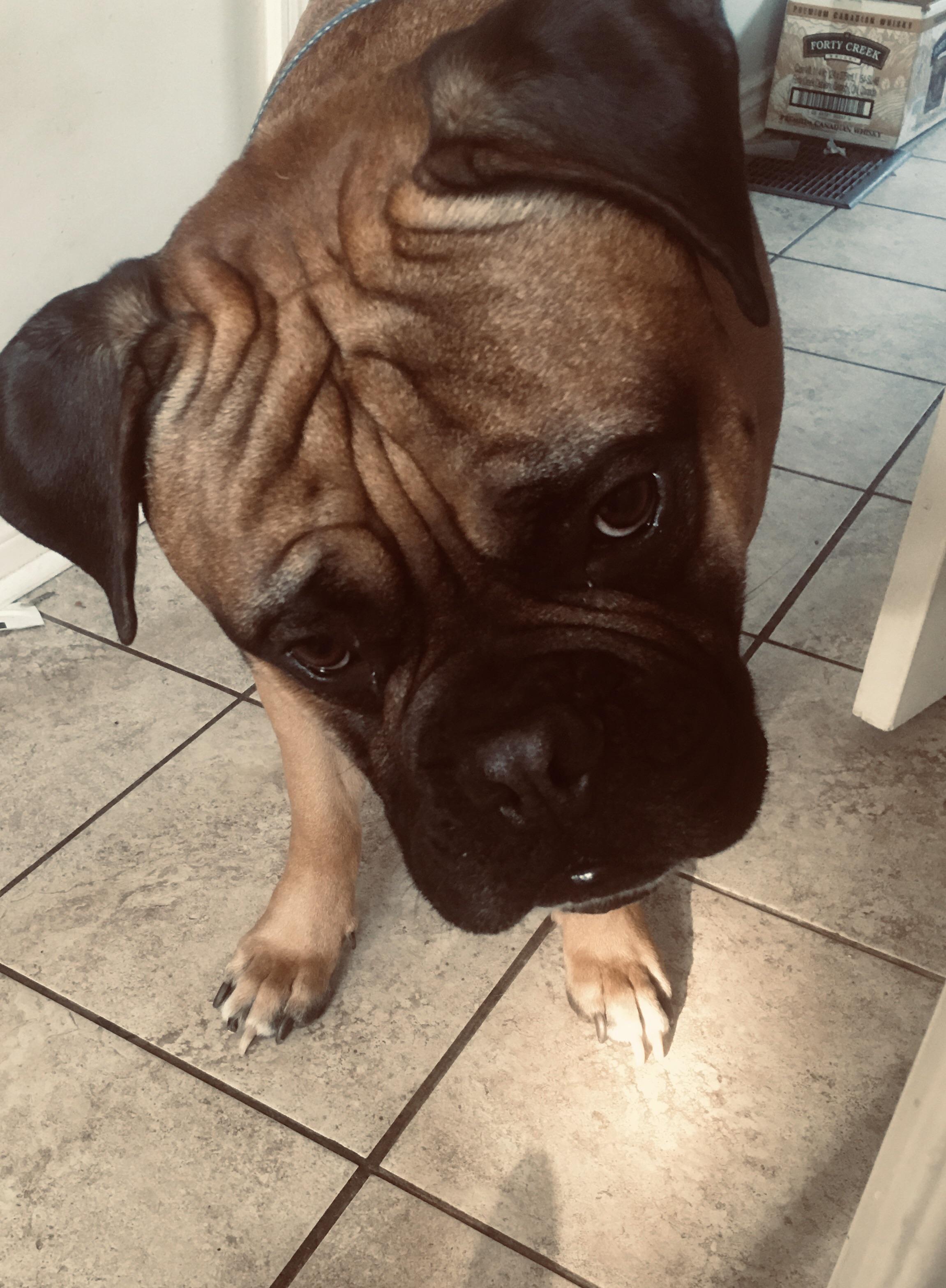 Chasing shadows | Scrolller