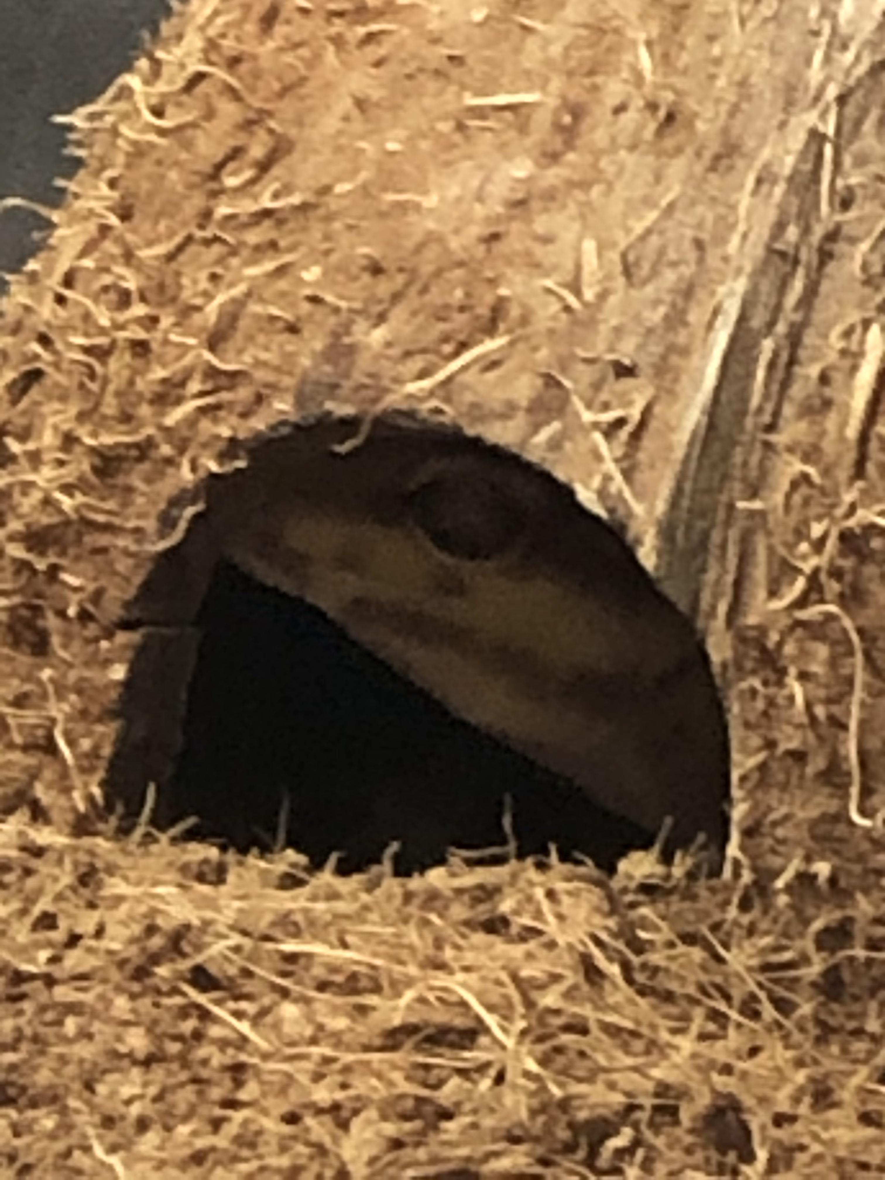 Che sguardo assassino | Scrolller