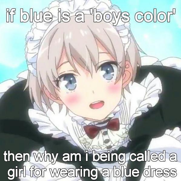 checkmate gender | Scrolller