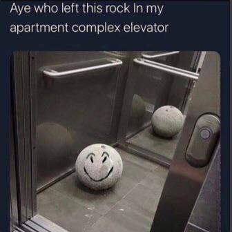 Cheeky in da elevator | Scrolller