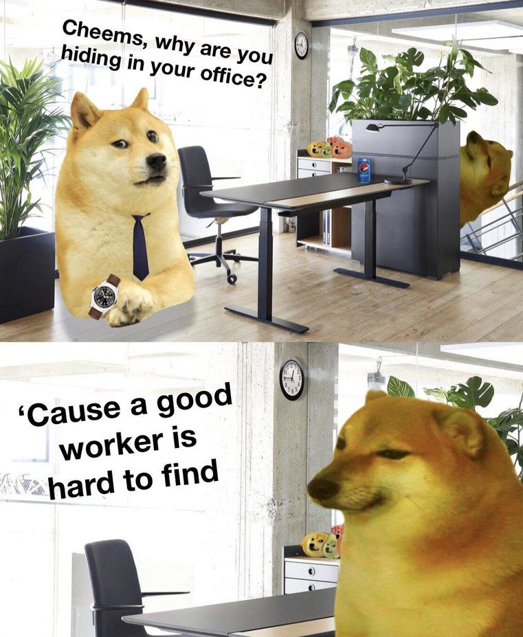 Cheems at work | Scrolller