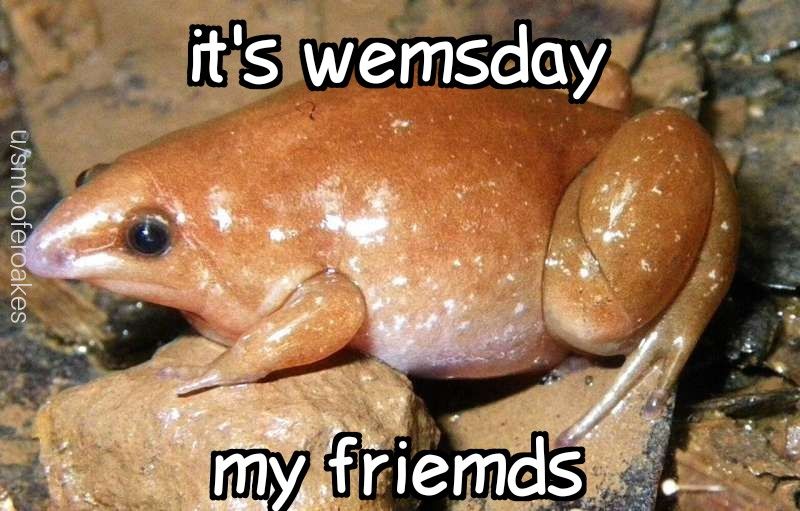 Cheems frog | Scrolller