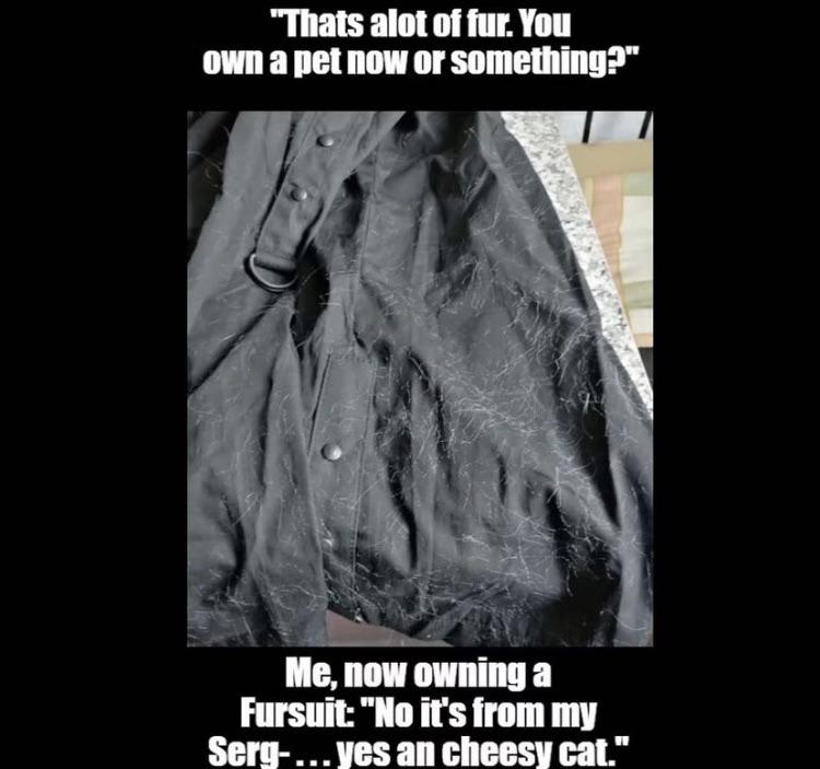 Cheese_irl | Scrolller