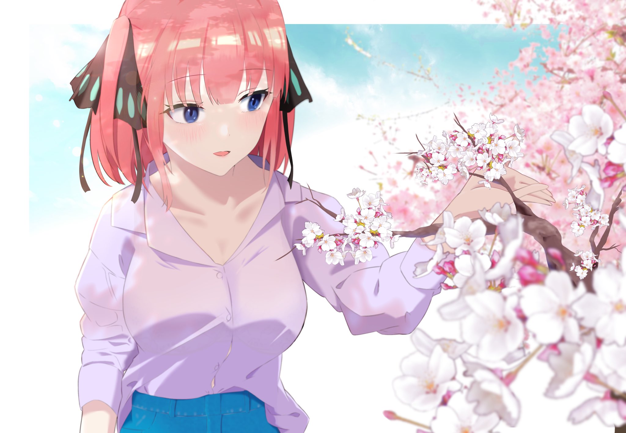 Cherry blossoms | Scrolller