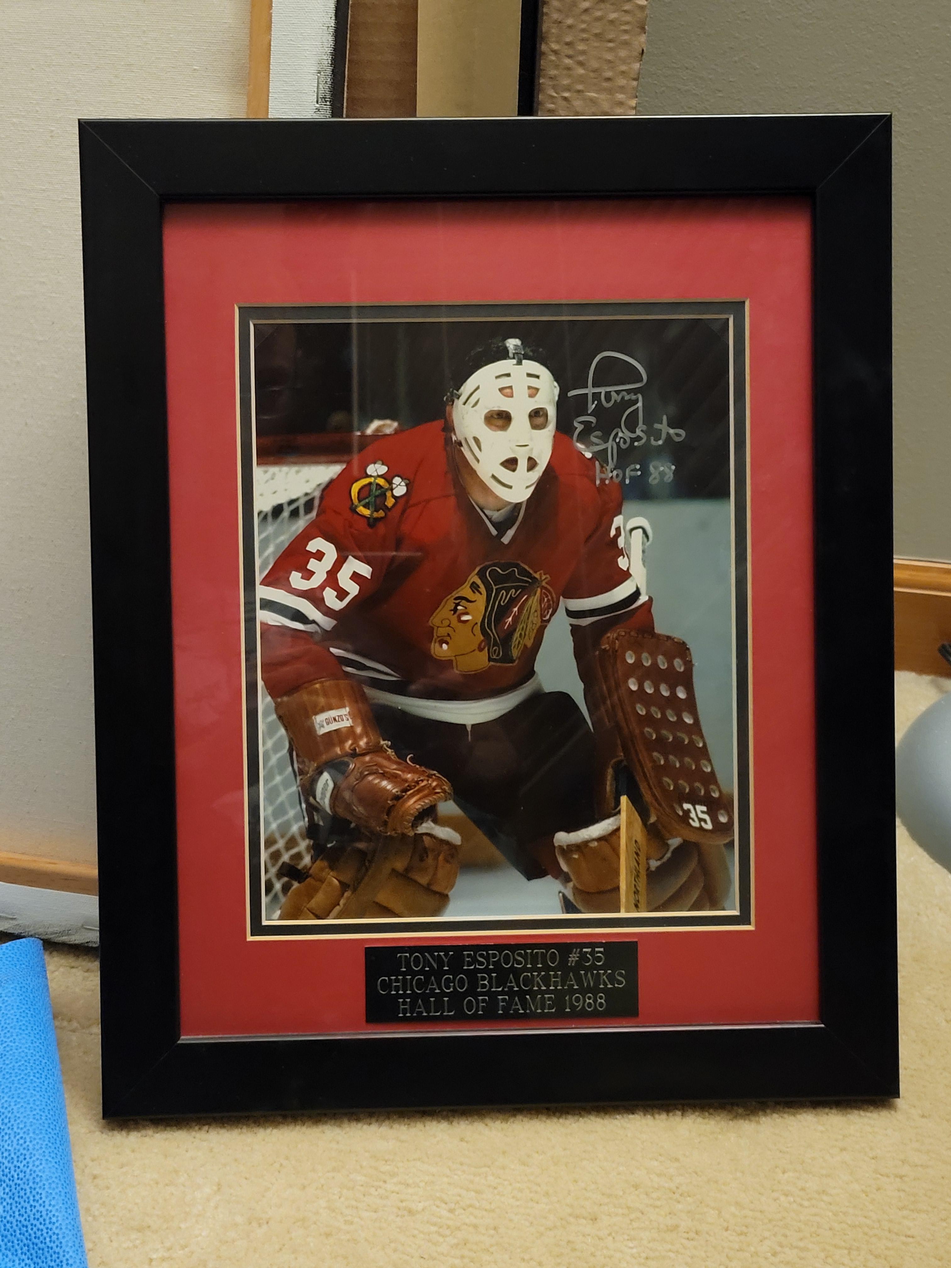 Chicago Blackhawks goalie Tony Esposito HOF 1988. | Scrolller