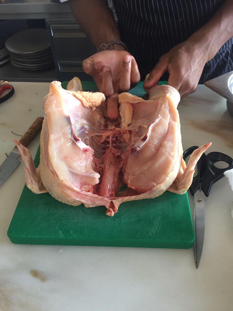 Chicken rule | Scrolller