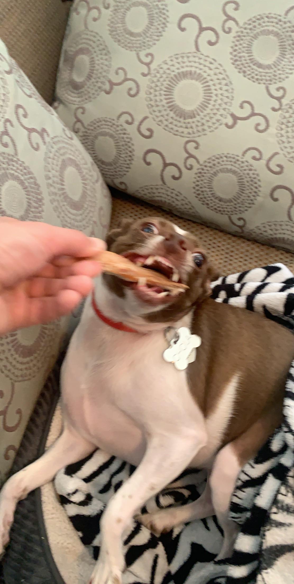 Chicken strips unleash the beast within | Scrolller