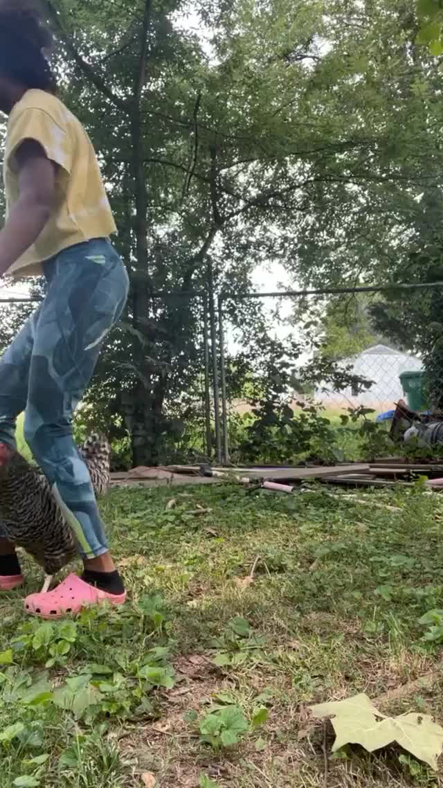 Chicken tricks | Scrolller