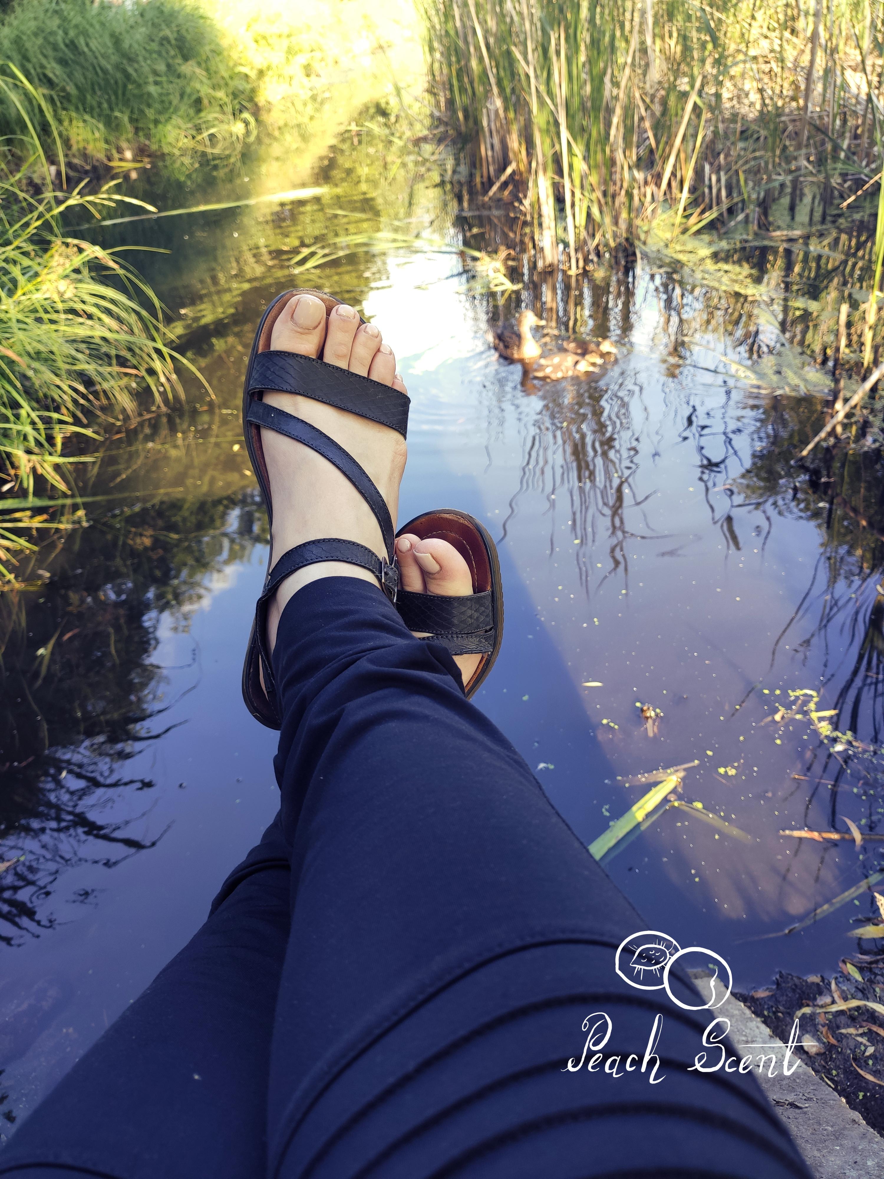 Just hanging out with ducks ^^ | Scrolller