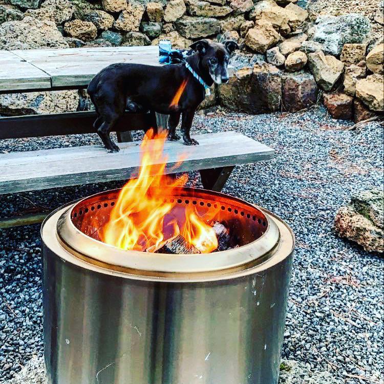 Chip approved! | Scrolller