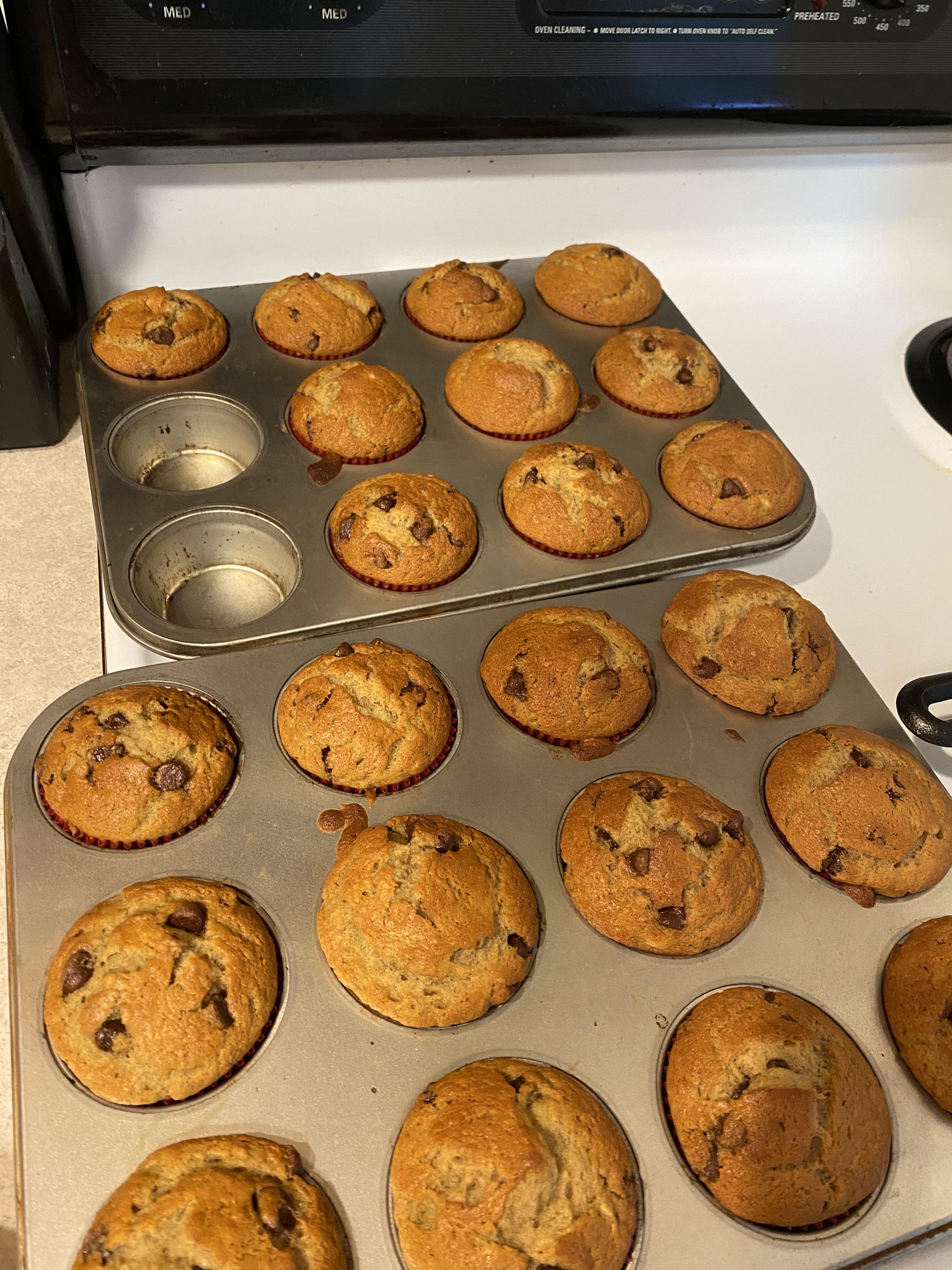 Chocolate chip banana bread muffins! 🍌 | Scrolller