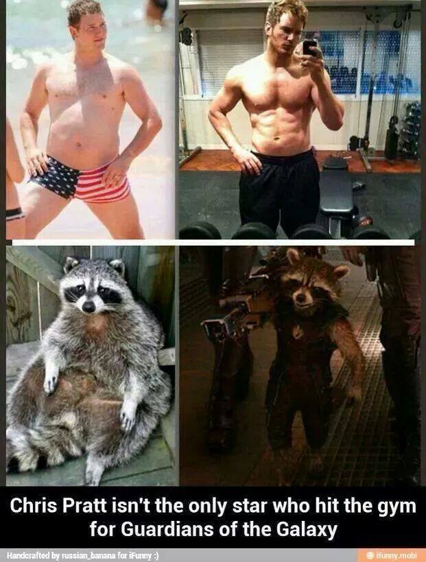 Chris Pratt and Rocket Raccoon Before And After Image | Scrolller