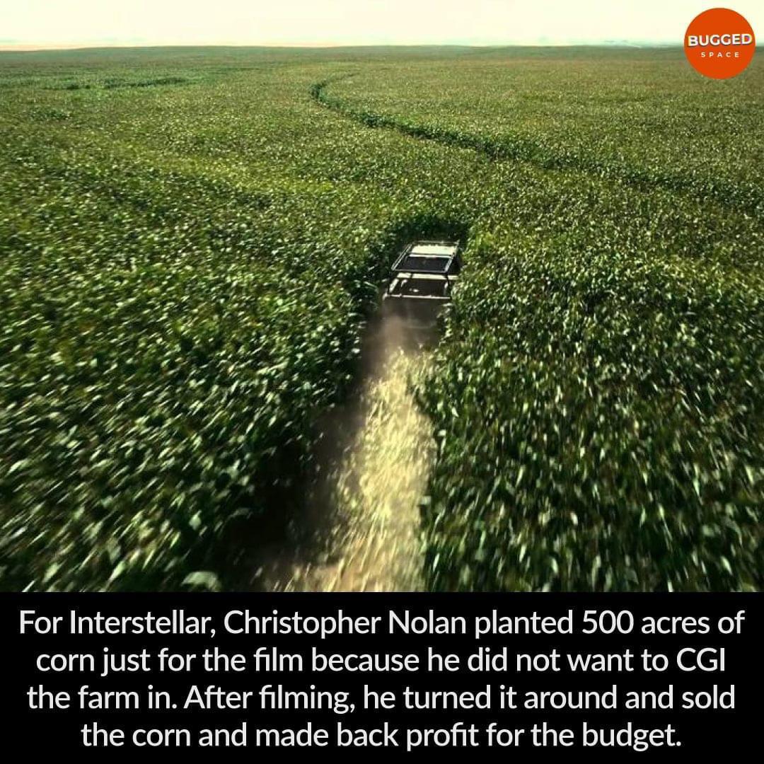 Christopher Nolan planted 500 acres of corn for Interstellar instead of faking it with CGI ...