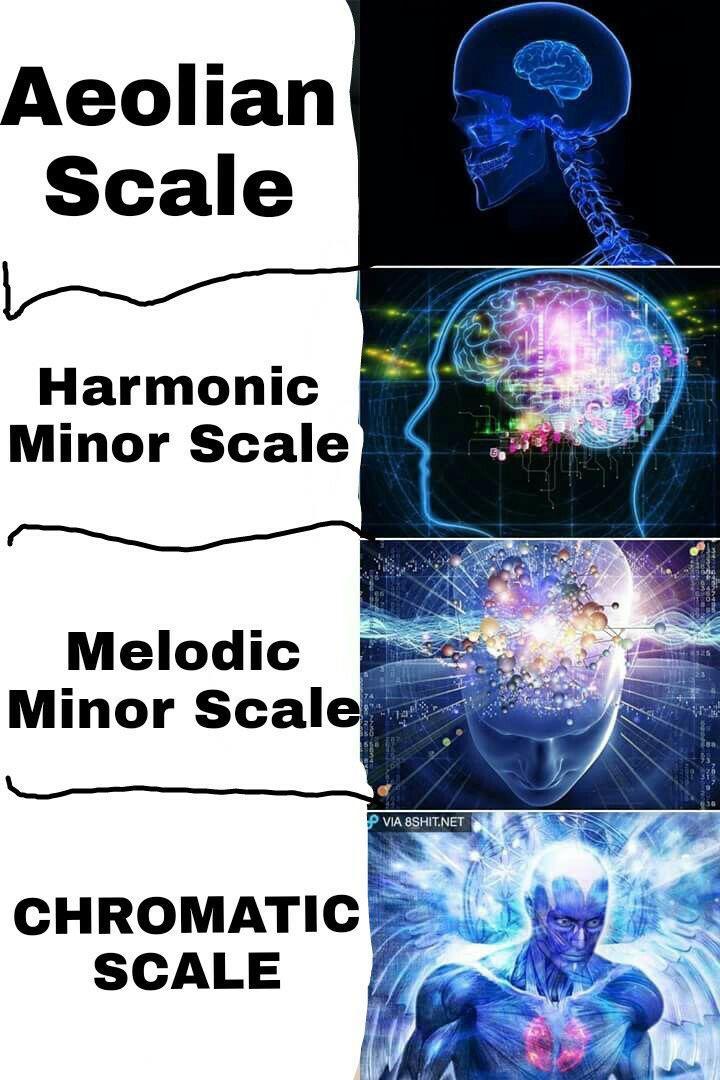 CHROMATIC SCALE | Scrolller