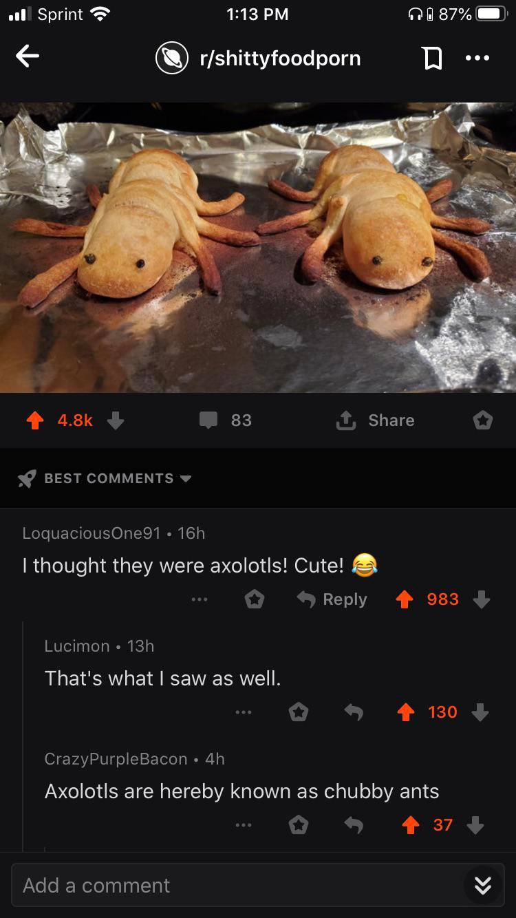 Chubby ants | Scrolller