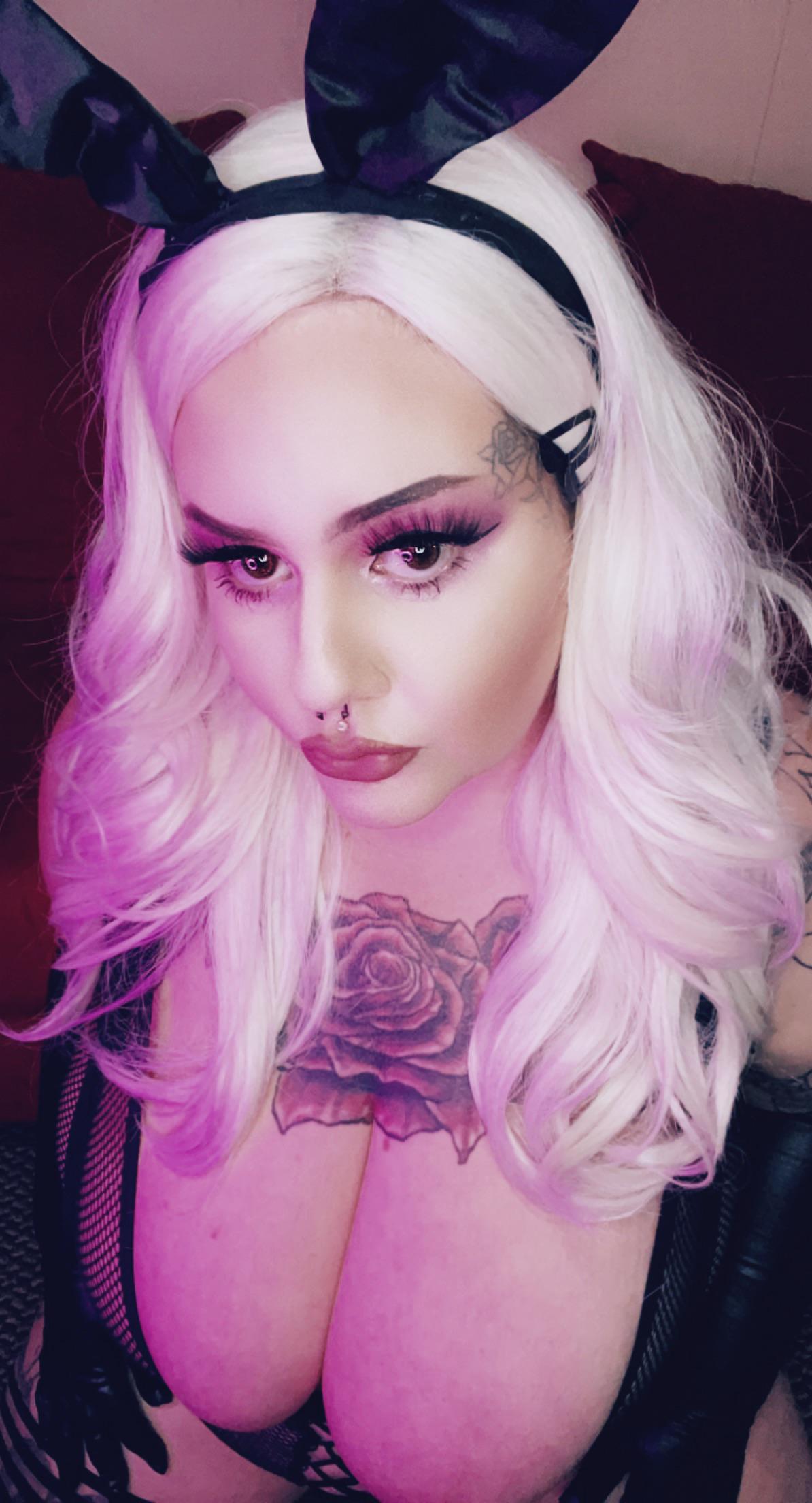 Chubby bunny | Scrolller